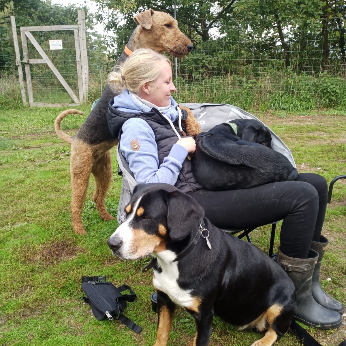 Hundebetreuung bei Anny - walk your dog